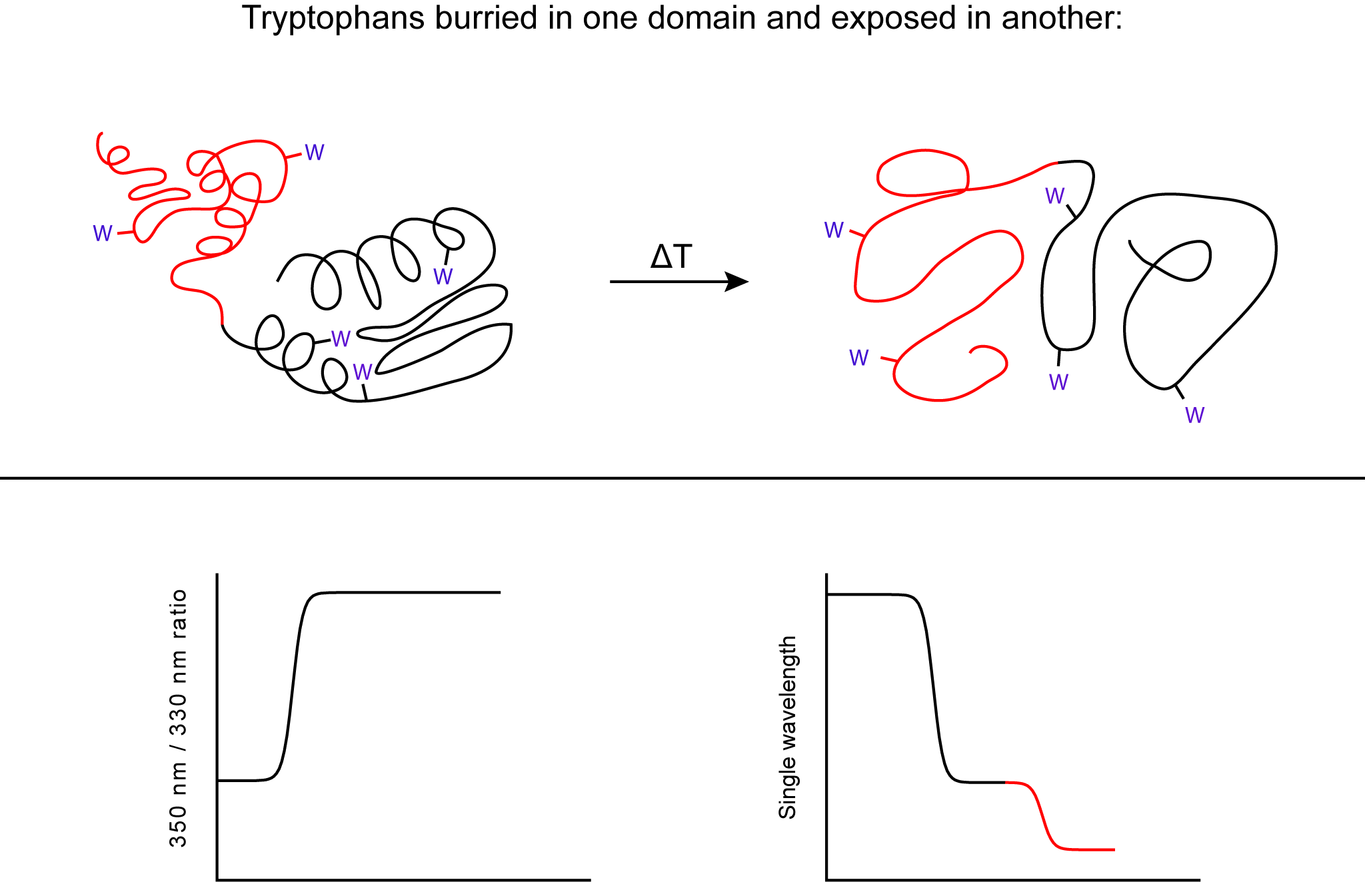 How to interpret nanoDSF data - ratio or single wavelength – NanoTemper ...
