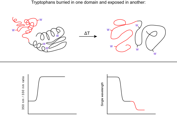 Ratiometric vs. Single Wavelength Analysis – NanoTemper Technologies