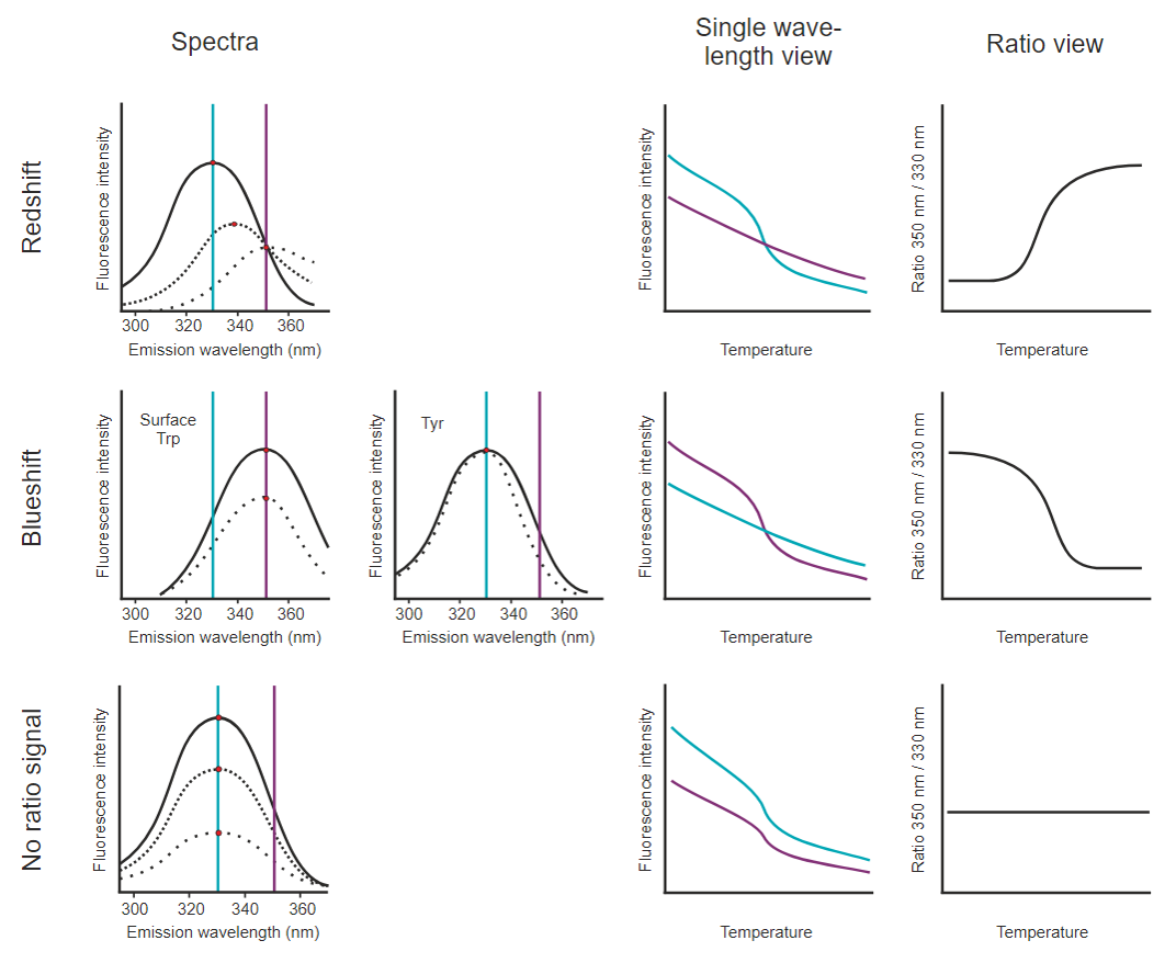 Unfolding Profiles: Redshift and Blueshift – NanoTemper Technologies
