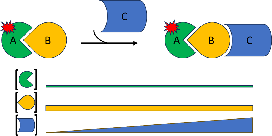 Assay setup to measure the interaction between two unlabeled molecules ...
