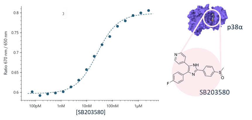 Binding Curve Direction In Spectral Shift Nanotemper Technologies