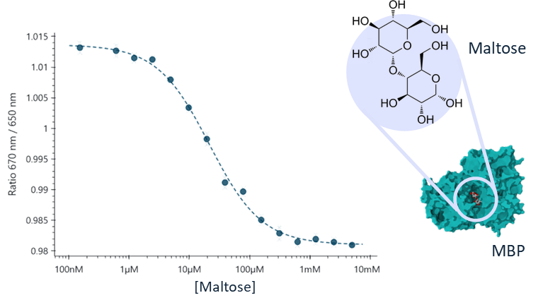 Binding Curve Direction In Spectral Shift Nanotemper Technologies