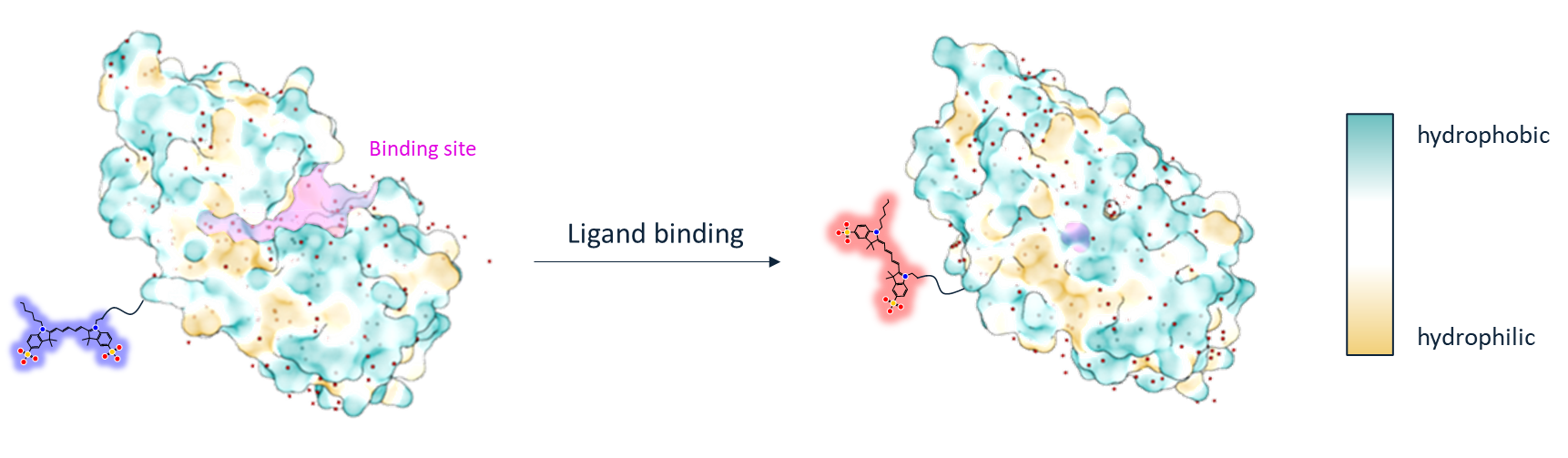 What is Spectral Shift? – NanoTemper Technologies