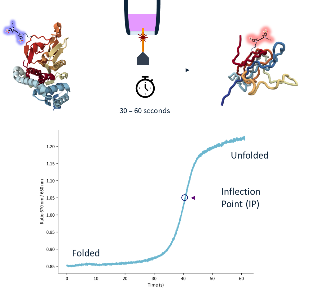 Optical Unfolding - Dianthus α – NanoTemper Technologies